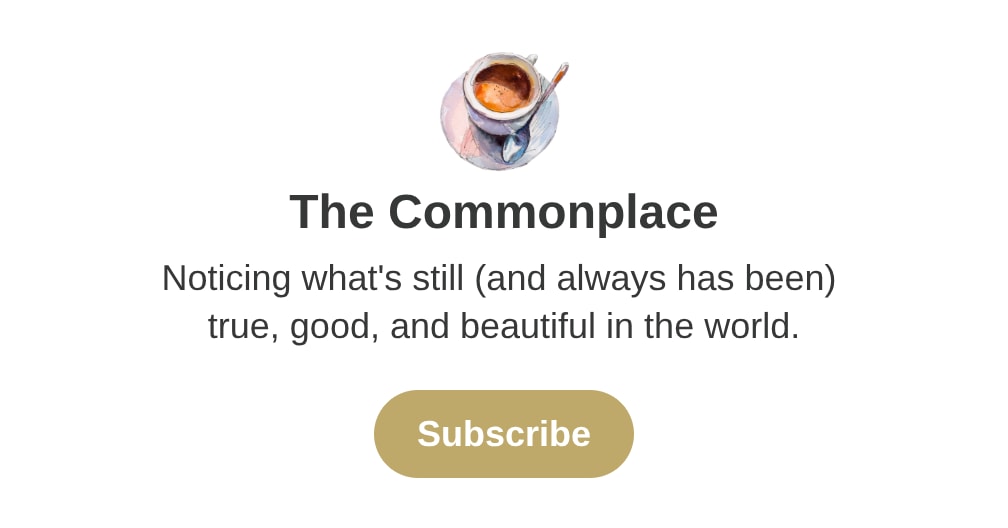 The Commonplace | Tsh Oxenreider | Substack