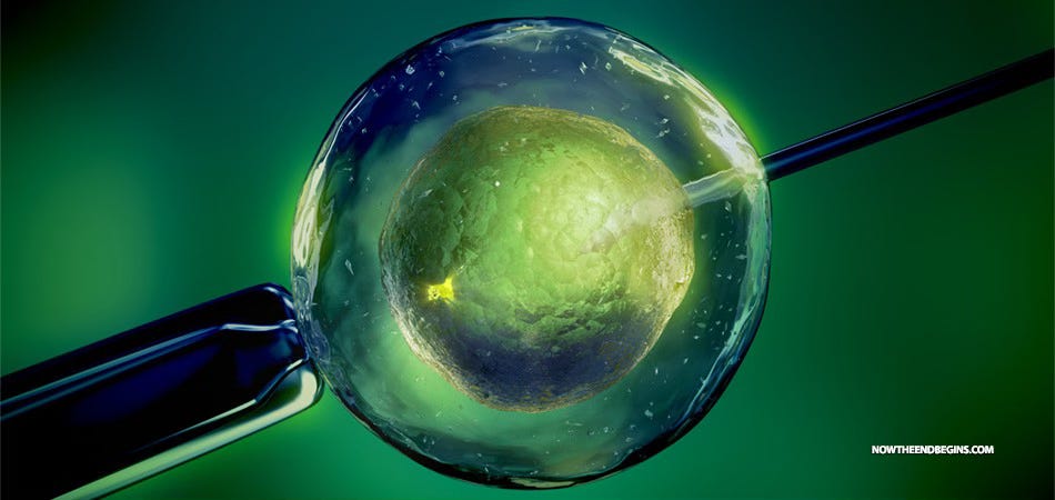 In Vitro Gametogenesis | peckford42