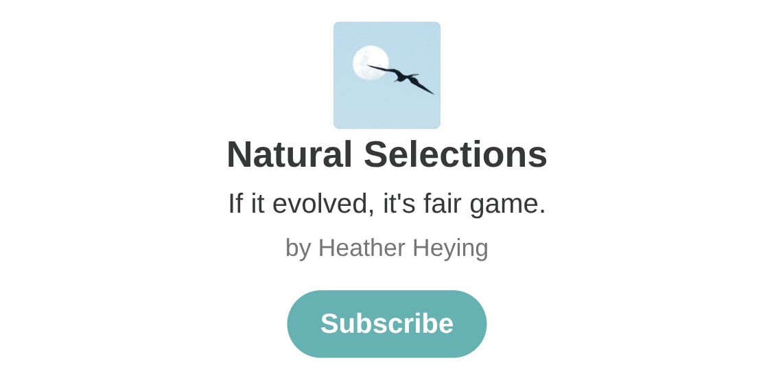 Natural Selections | Heather Heying | Substack