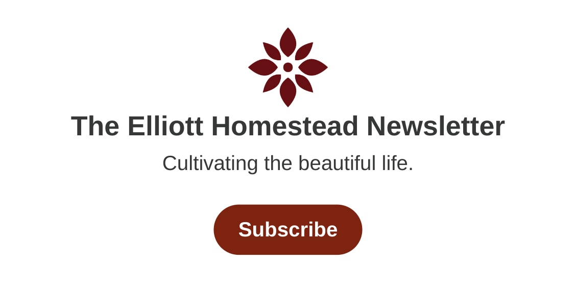The Elliott Homestead Newsletter | Shaye Elliott | Substack