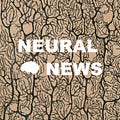 Neural Newsletter | Substack