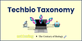 Techbio Taxonomy - Not Boring by Packy McCormick