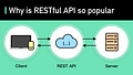 Why is RESTful API so popular? - by Alex Xu