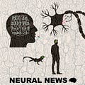 Neural Newsletter | Substack