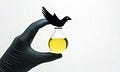 QTR’s Fringe Finance | Quoth the Raven | Substack