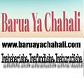 Barua Ya Chahali | Evarist Chahali | Substack