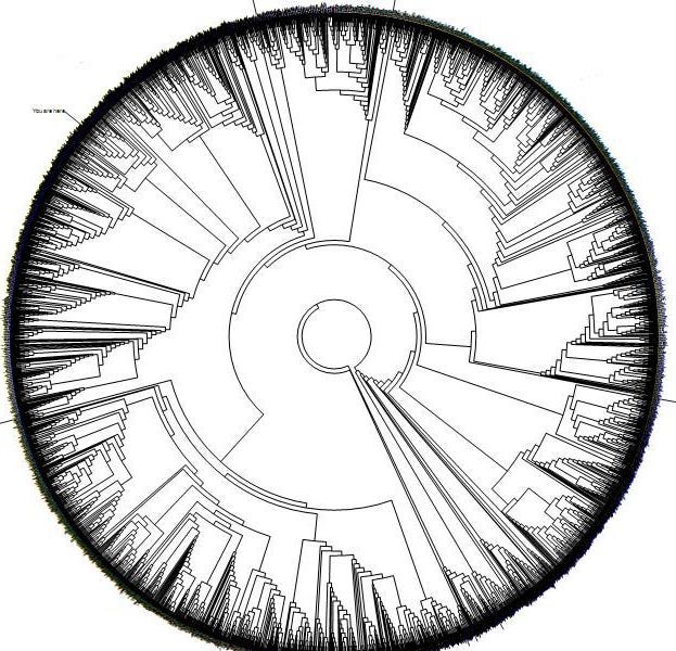 La valoración fundamental de empresas: Modelo DCF y Simulación Monte Carlo