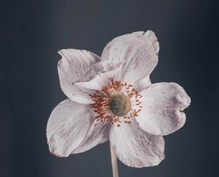 WATERLESS OCEAN - by UyimehShang Ti Willie