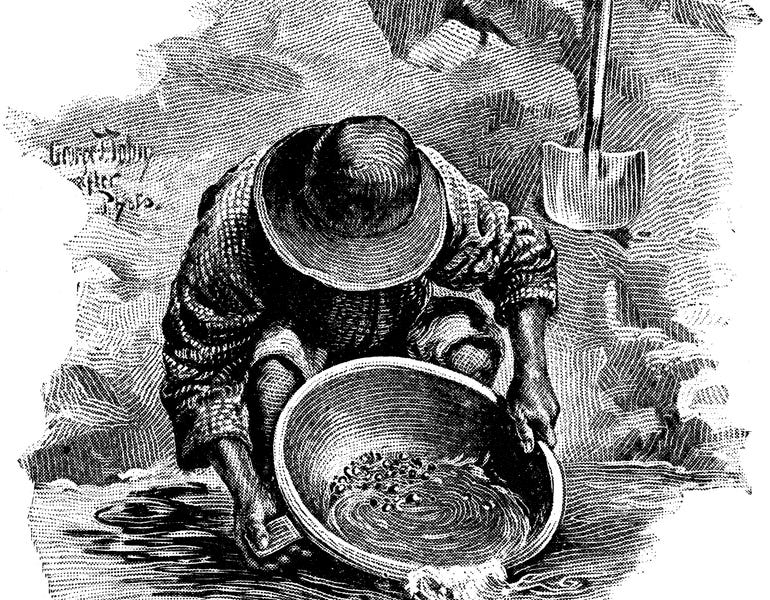 The Curious Tale of Wiggins Way