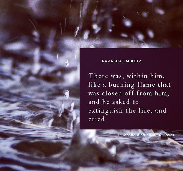 Parashat Miketz: Let it Flow - by Netanel Zellis-Paley