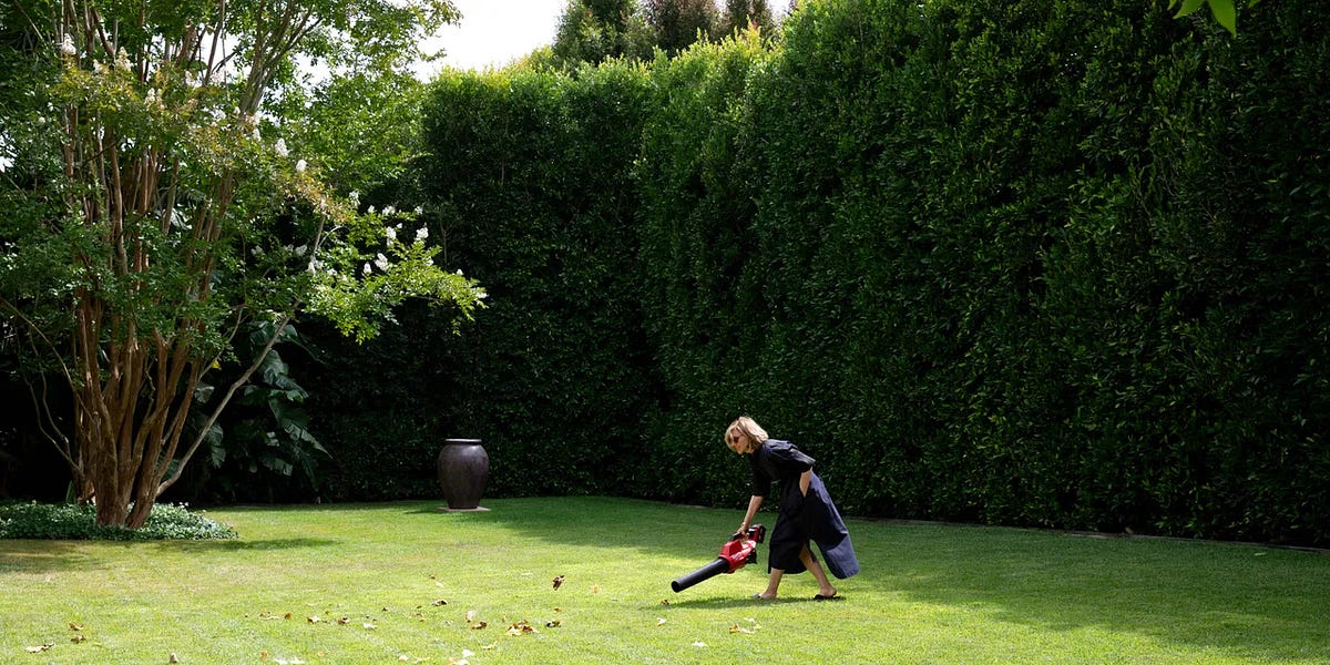 The Nancy Meyers Leaf Blower Edition - by Colin Nagy