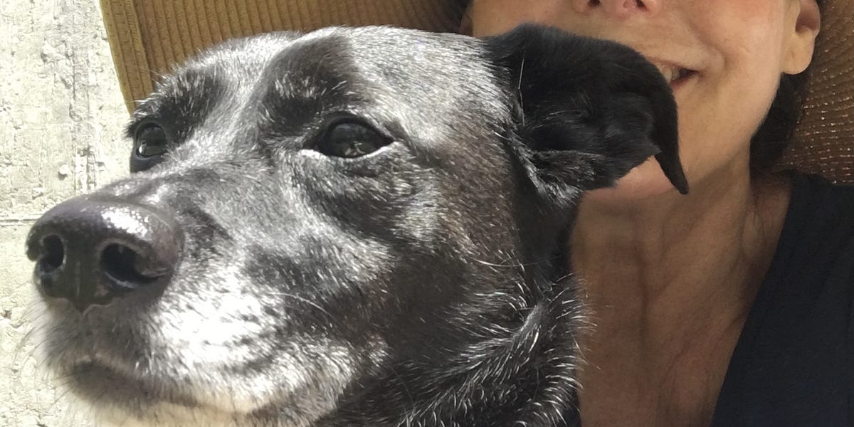 Saturday reprise: Ruby, my dear - by Lucian K. Truscott IV