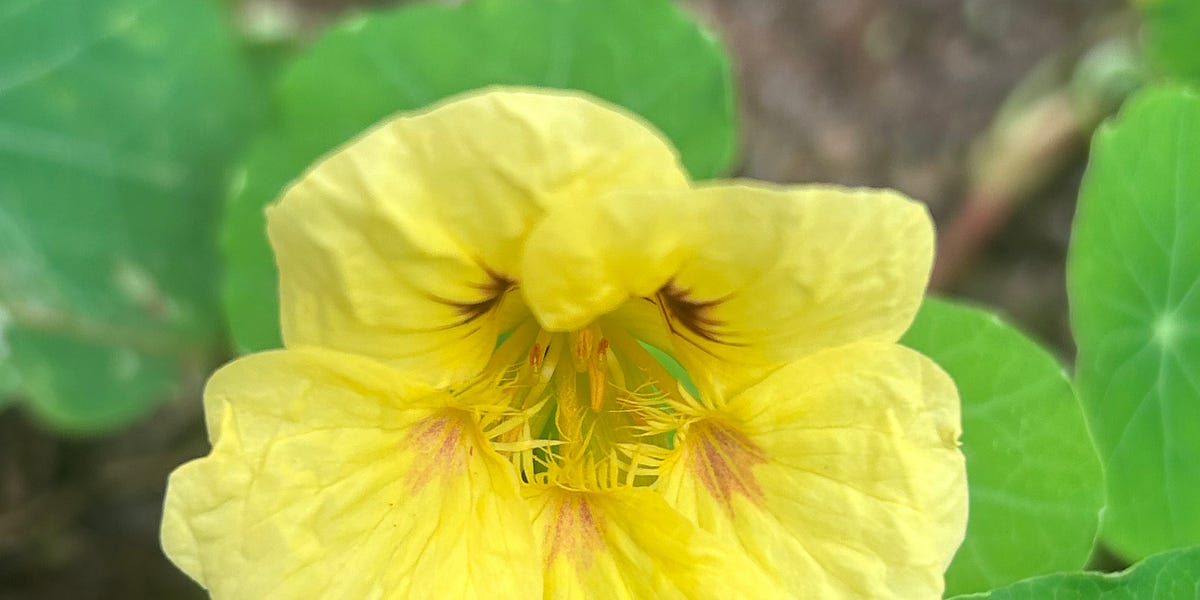 diary of an expat - by k'eguro - Imagining Freedom