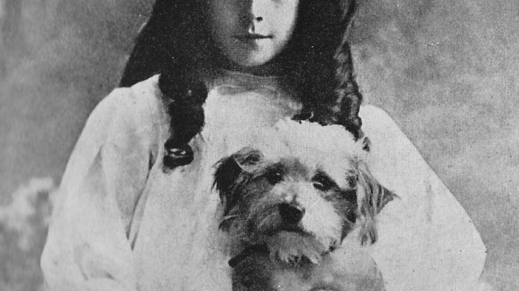 Lucy’s Secret Legacy - by Merrilyn Thomas