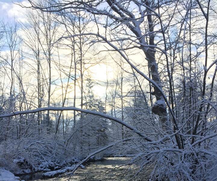 Winter Story - Story Carrier: Jane Clark's Substack