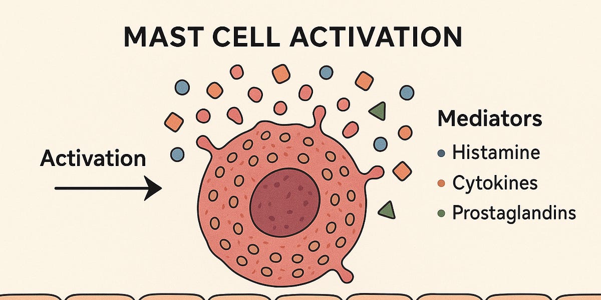 Homeopathy For Mast Cell Activation Syndrome (MCAS)