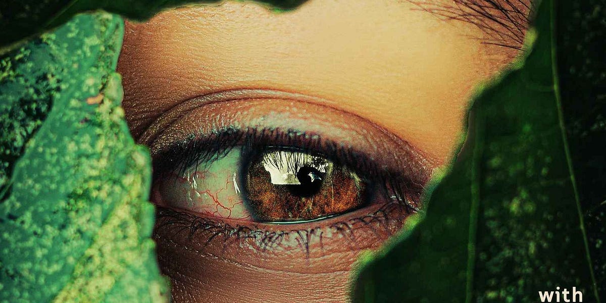 Restoring the Evolved Nest | Darcia Narvaez