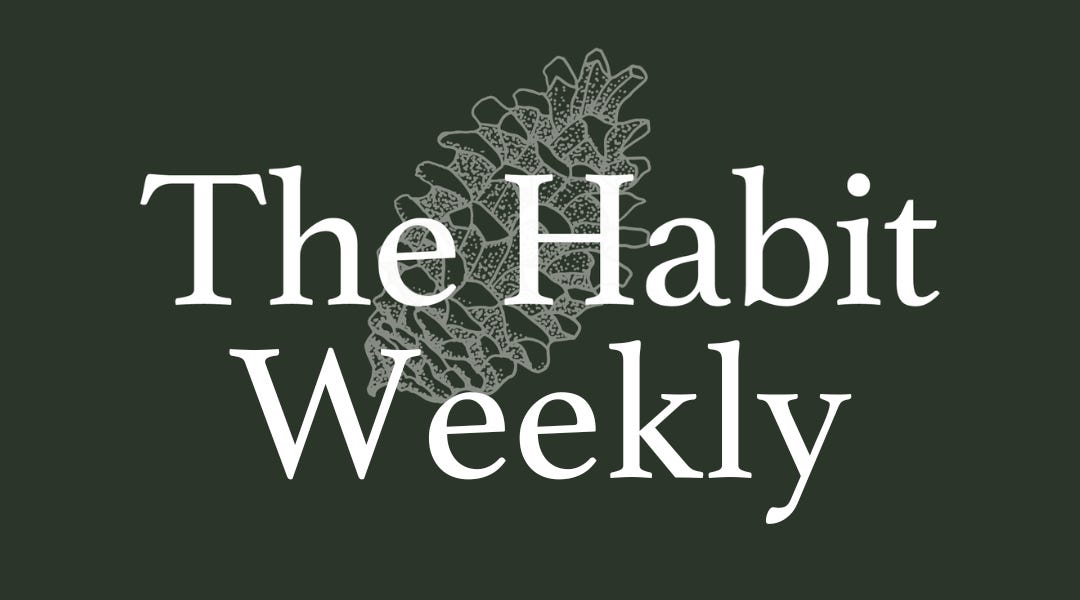Typos! Cicadas! A Moonwalking Bear! - The Habit Weekly