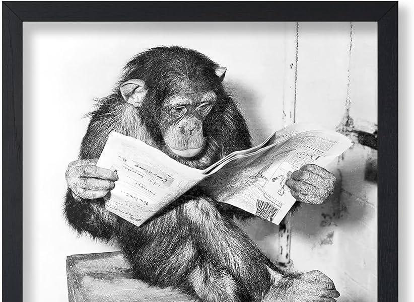 Jocko's News - Yarn's Truth and Reconciliation