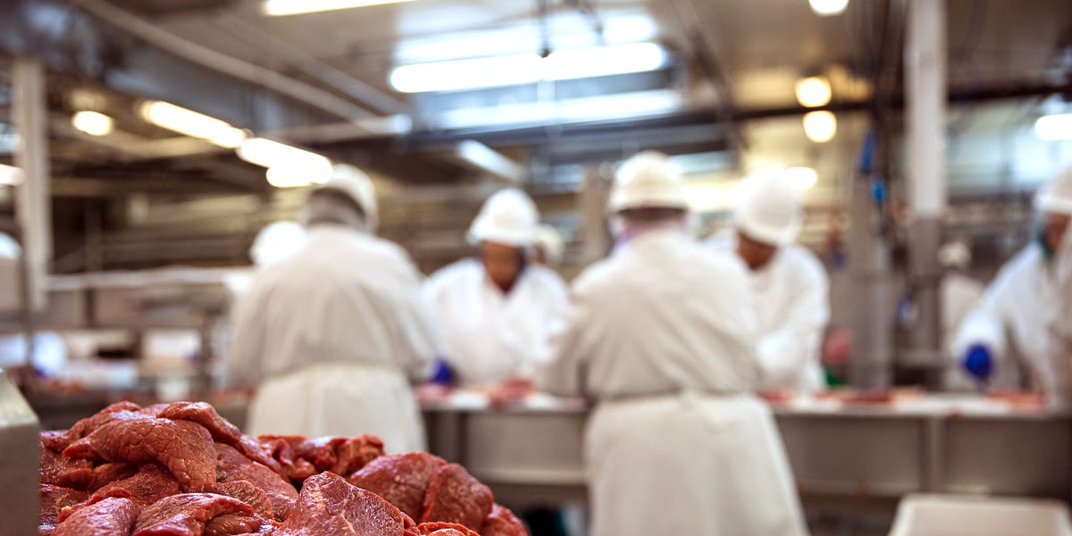 The Politics of Meat: Unpacking the Meat Industry's Influence on ...