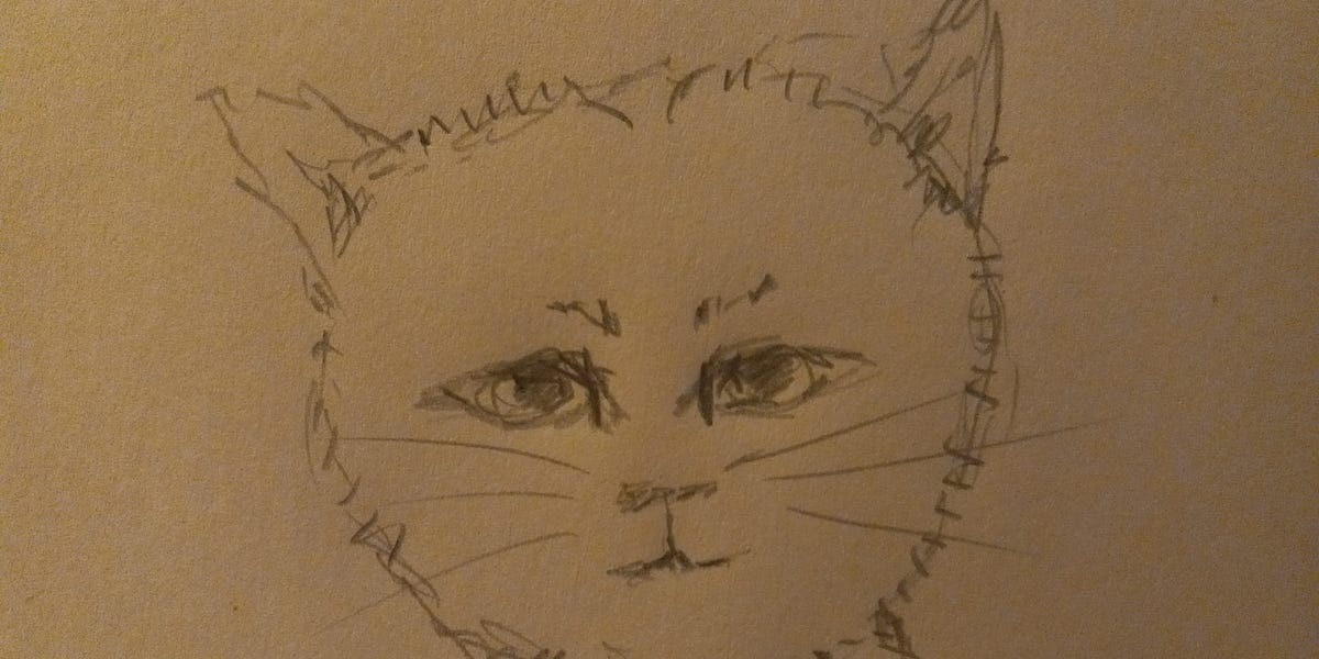 My journey from cat distaste to buying "I want to be a stay at home cat mom" socks