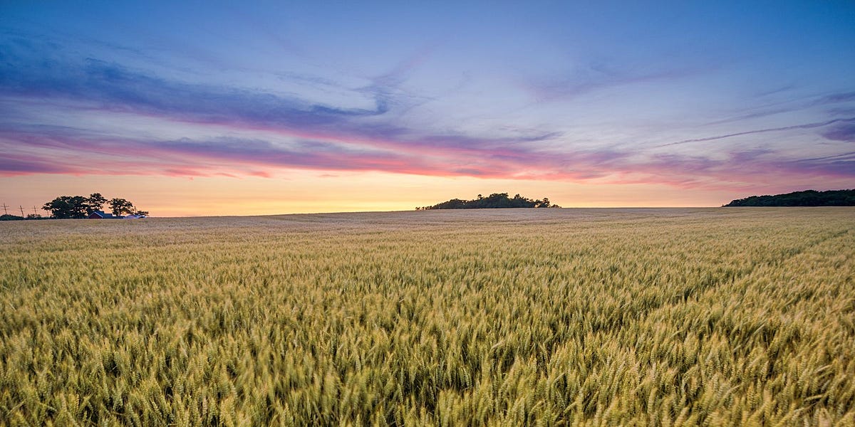 First, observe - by Whitney Conner Clapper