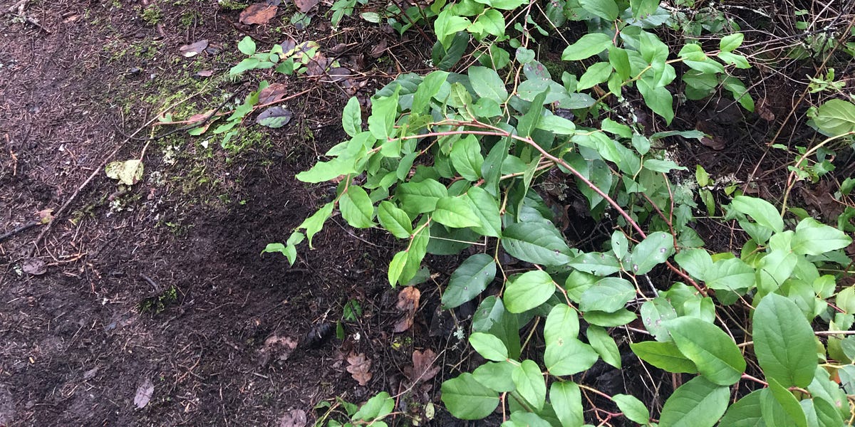 PERFECTLY IMPERFECT - by Russell C. Smith - The New Now