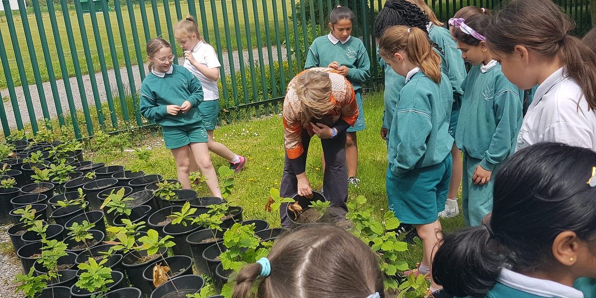 The Friday View 05/07 - by JJ O'Donoghue - Tripe + Drisheen