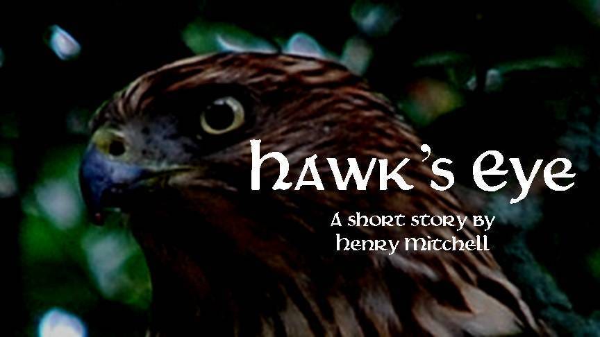 Hawk's Eye- - by Henry Mitchell - Among the Fallen