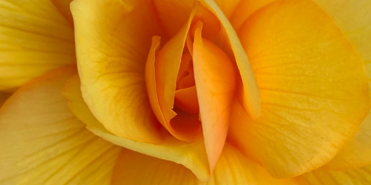 Incantation: You Are Not a Problem to be Fixed