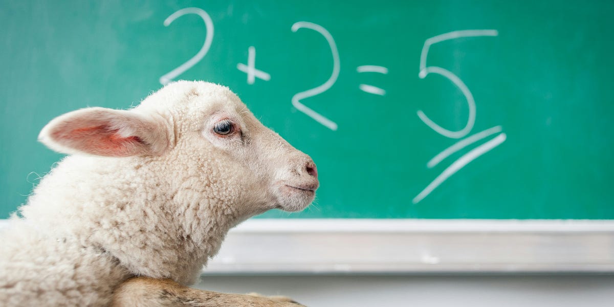 Going on Offense is the Only Way Out of the Democrats DEI malaise