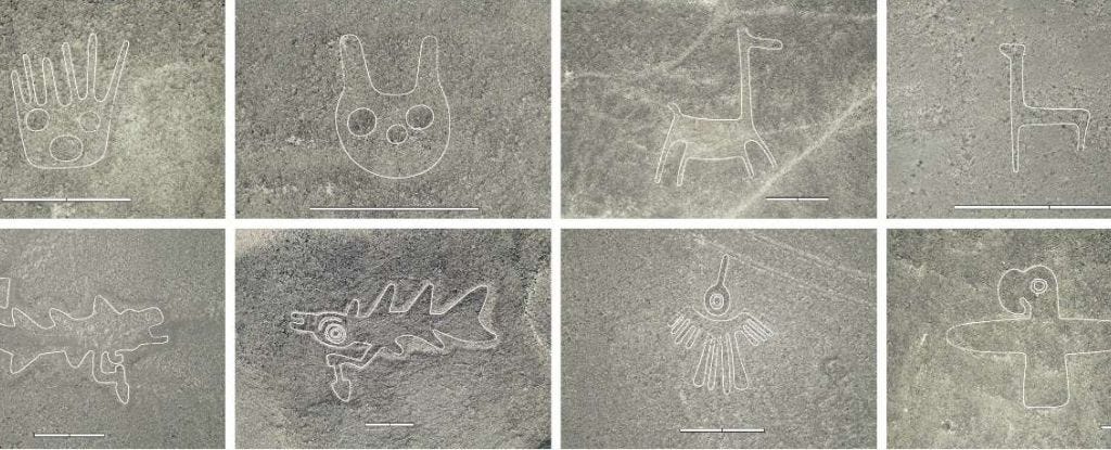 The Nazca Mysteries: New Insights from 303 Newly Discovered Glyphs