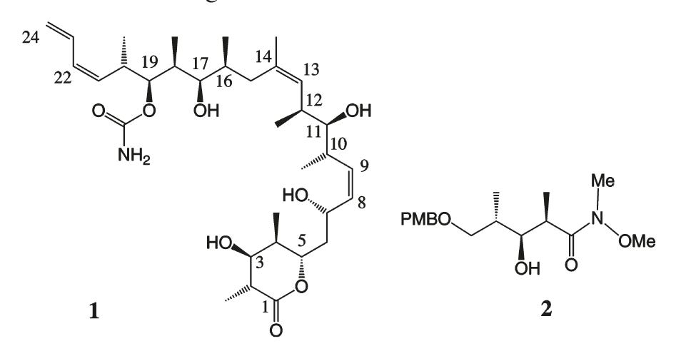 Blast from the past: Syn-pentane interactions in drug design