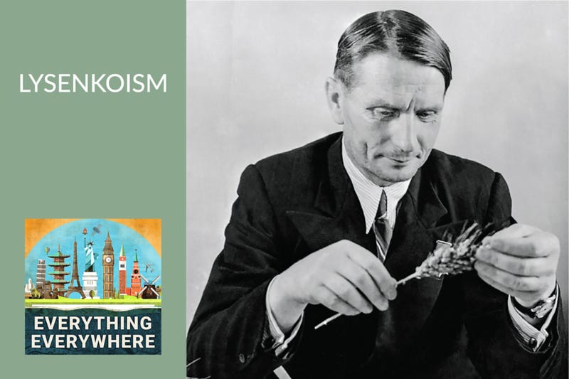 Terminal Lucidity - by chantelle Karttunen