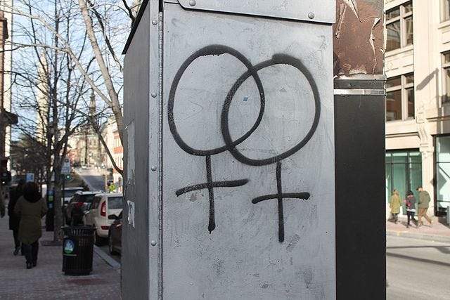 Doing Feminism, Extra Sex-y - Stone Butch Disco