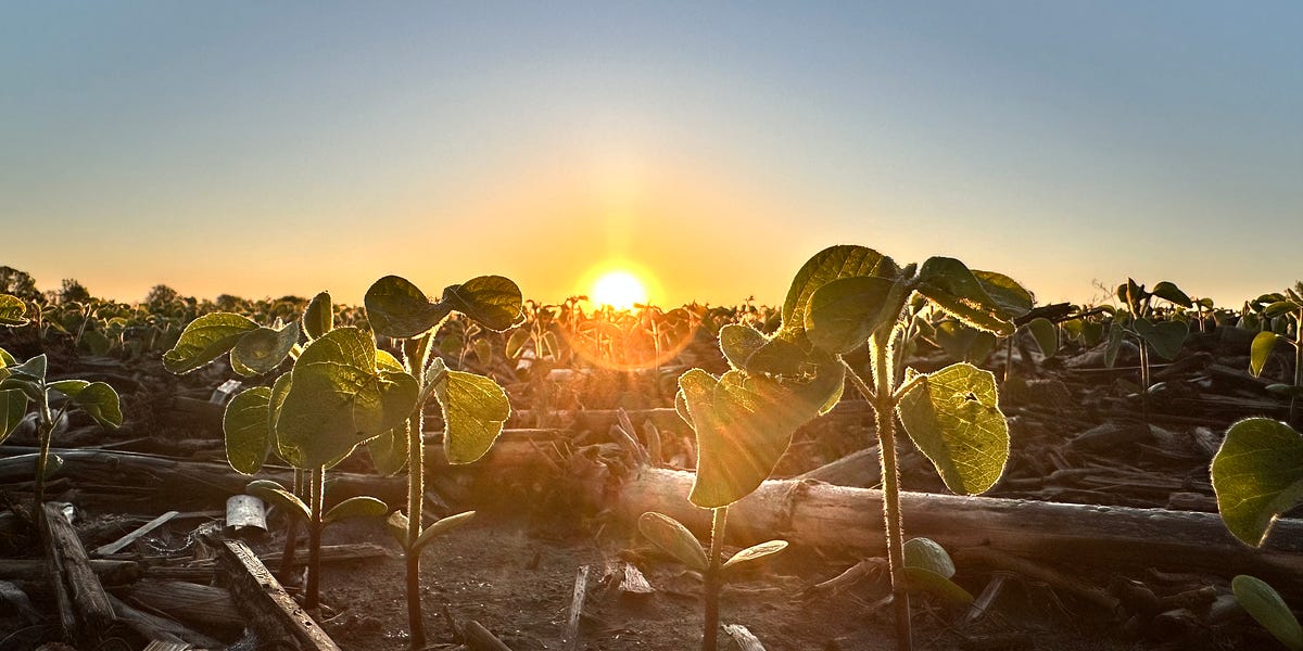 How To Win Friends and Votes In Rural America