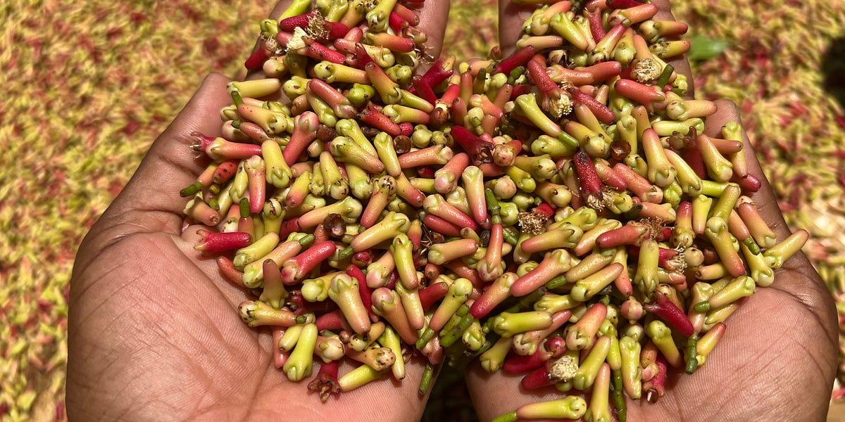 INTERNATIONAL cloves prices have held mostly firm in recent weeks