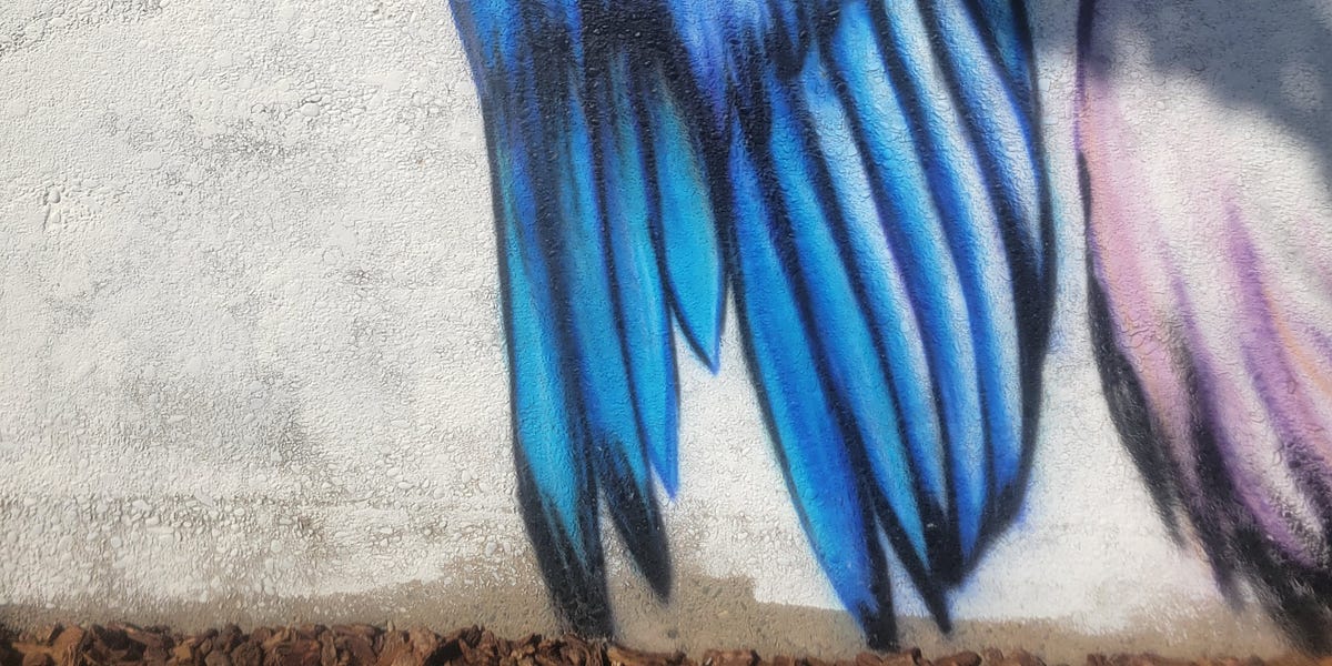 Do You Know What Color My Wings Are?