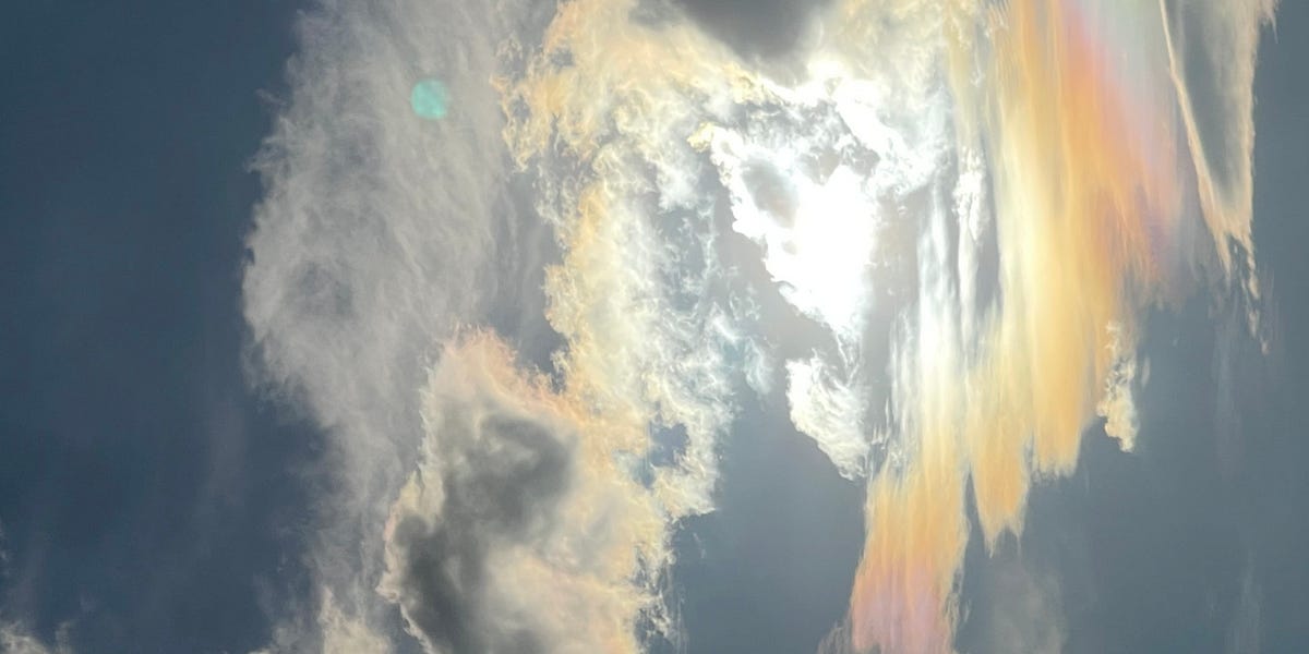 the art of poetic destruction: eclipsed by a bleeding heart