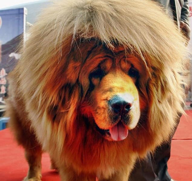 The Cultural Embodiment of America (A Week in Review)