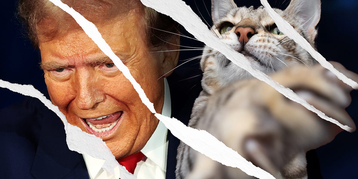 ‘Trump Blew It’: Cat Scratch Fever on The Debate Stage