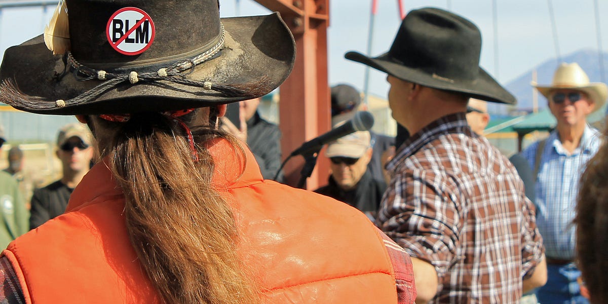 A Sagebrush Rebel returns to Interior