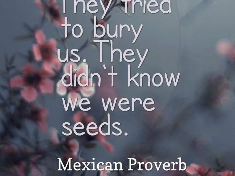 The 76th Hunger Games - by Hanna Le - hanna's substack