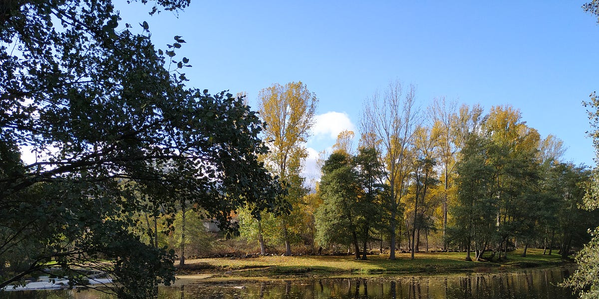 Apegos del ego - by Pilar Serrano - El Substack de Pilar