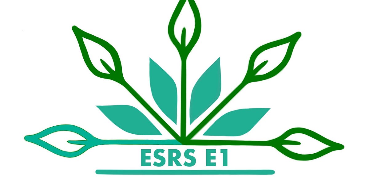 [HOW] ESRS E1: Scenario analysis with the TCFD