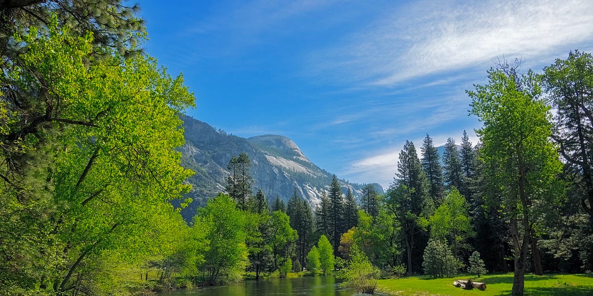 A Tranquil Spring Morning on the Merced River