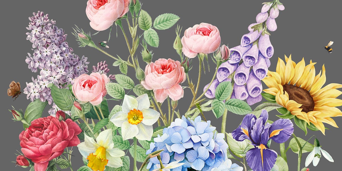 Introducing: Flowers & Folklore - by Sarah Rushbrooke