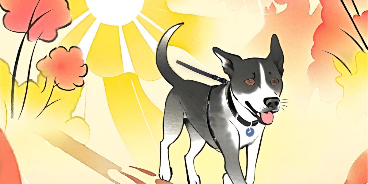 A Dog’s Dedication, a Haiku, & Shift in Consciousness