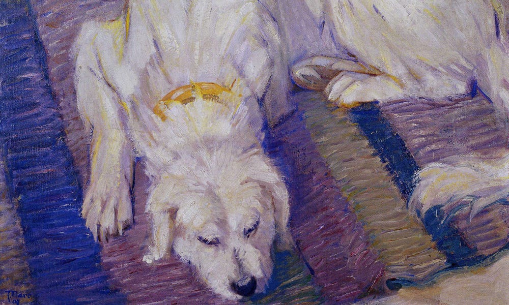 Behemoth - Jane Dougherty's Bestiary