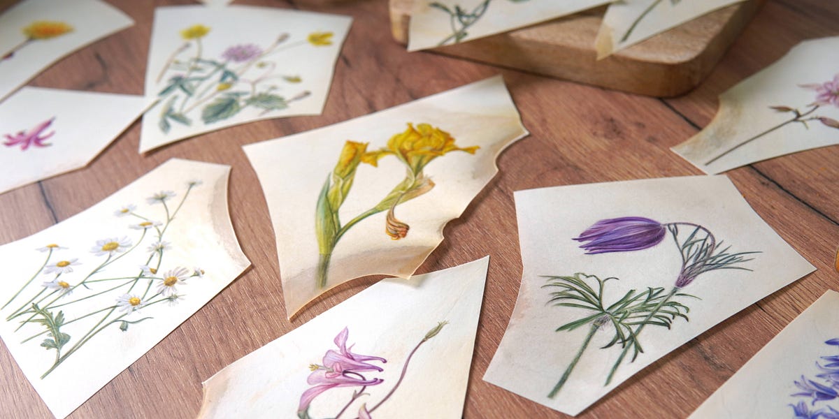 Sneak peek | New series on vellum: What remains